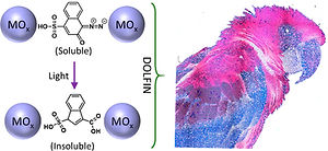 Full papers | NGON Lab